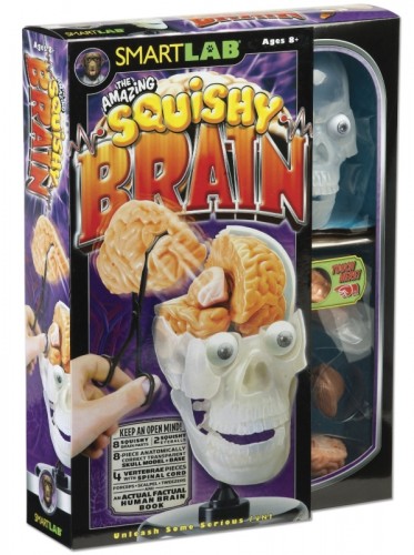 Smart Lab The Amazing Squishy Brain