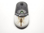 Computer Mouse Golden Scorpion White