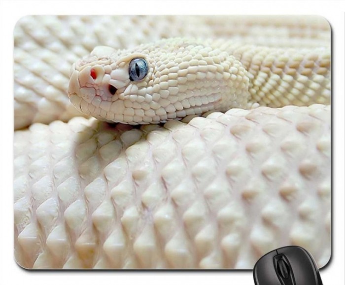 Snake Mouse Pad