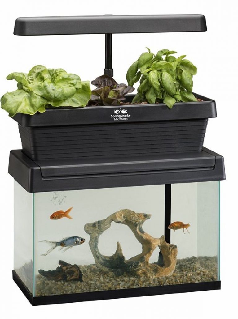 Springworks Microfarm Aquaponic Garden