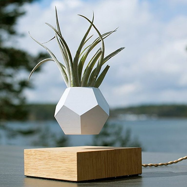 Authentic Floating Levitating Plant Pot for Air Plants