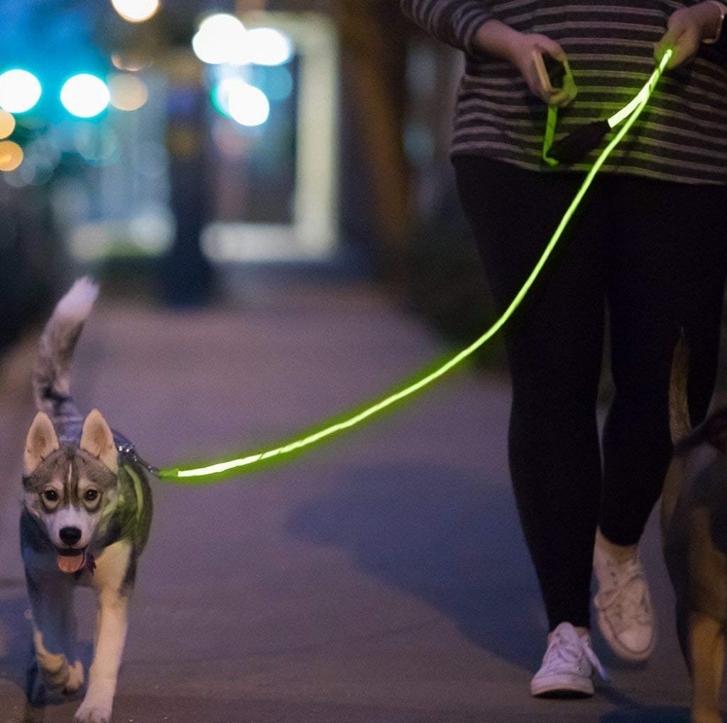LED Glow in The Dark Pet Dog Leash