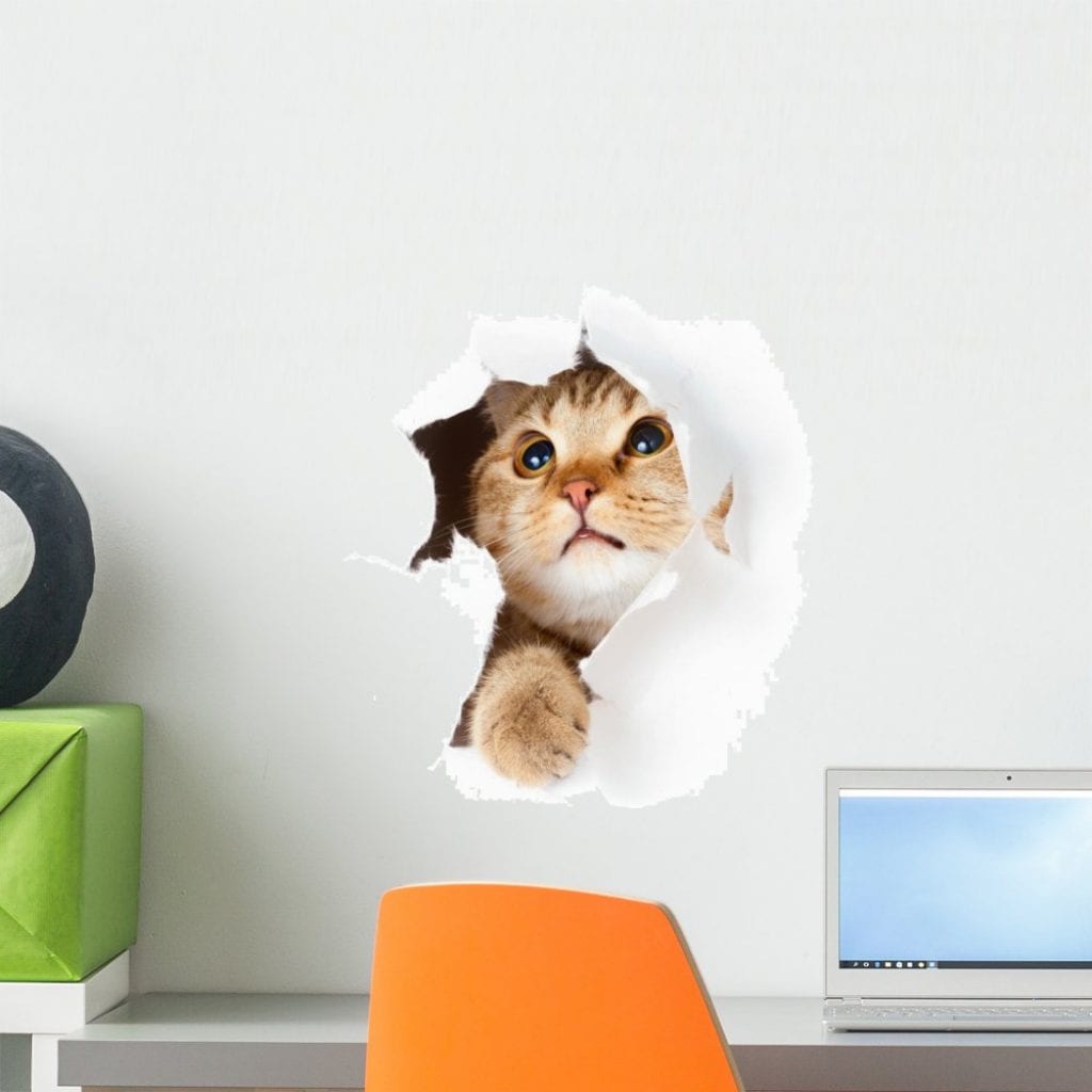 Cat in Paper Side Torn Hole Wall Decal Peel and Stick Graphic