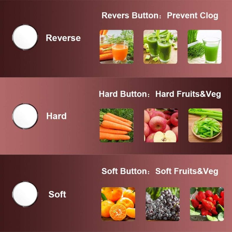 FAMTOP Slow Masticating Juicer Extractor with Reverse Function Quiet Motor