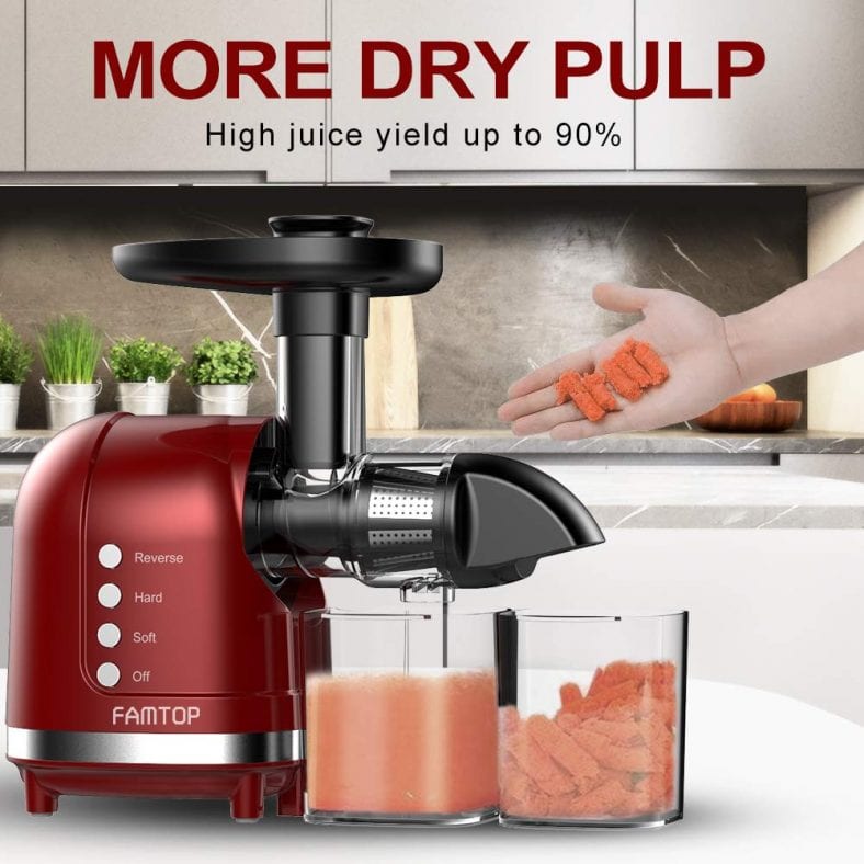 FAMTOP Slow Masticating Juicer Extractor with Reverse Function Quiet Motor