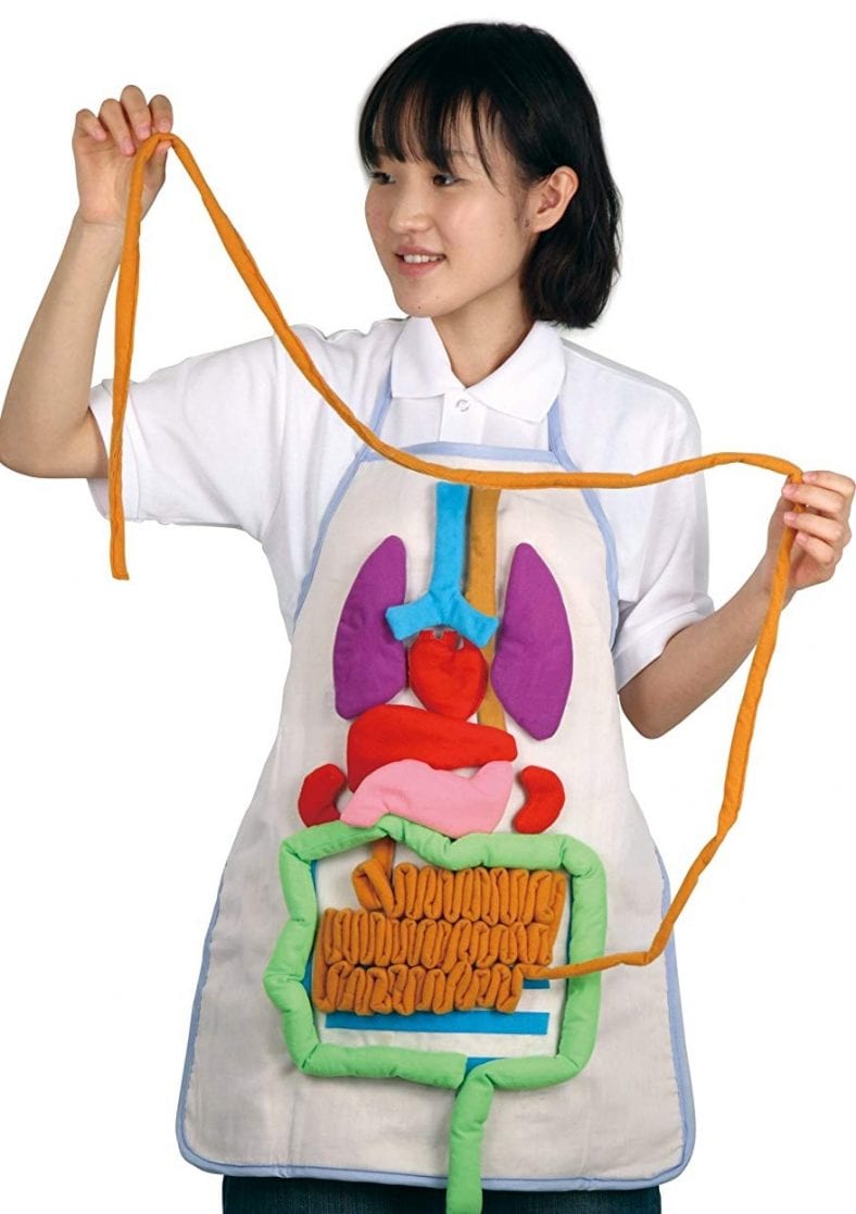 Anatomy Apron